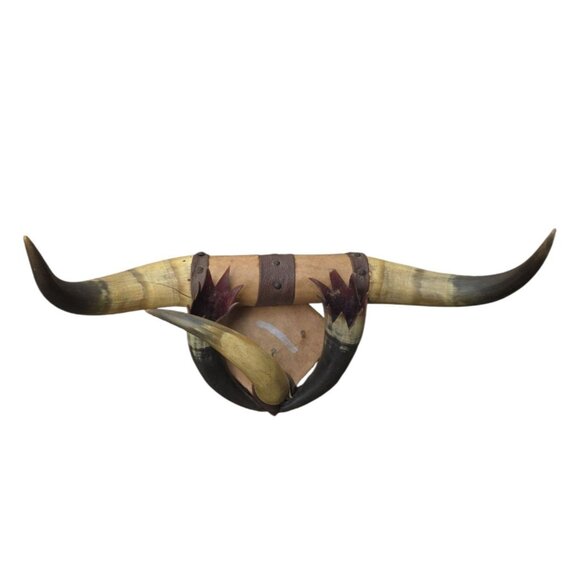 Accents | Decorative Longhorn Wall Art Steer Bull Horns Western Ranch ...